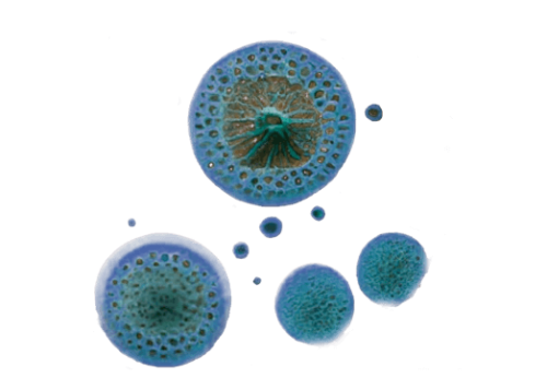 Home - Institute for Life Science Entrepreneurship